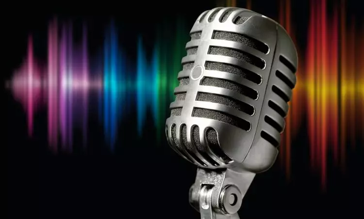 Comment fonctionnent les microphones ? 10261_4