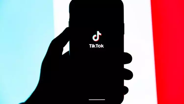 Programmadan TikTok wideosyny ýatda saklap bolmazmy? Munuň ýerine bu iki usuly synap görüň 10295_2