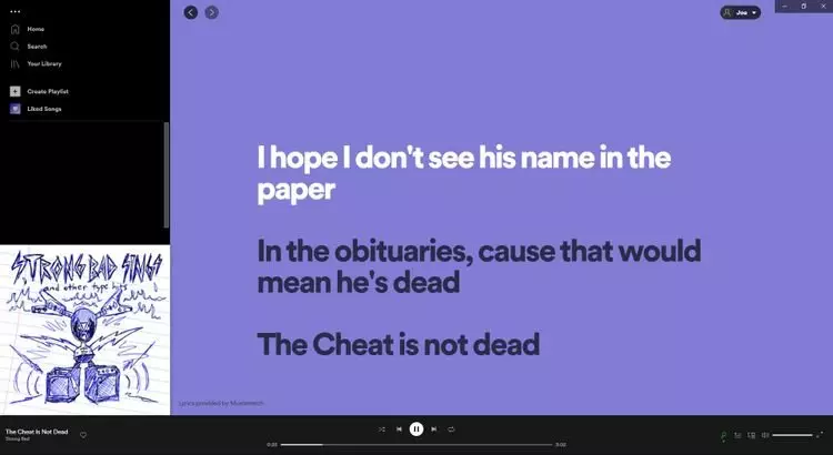 Spotify இன் நிகழ்நேர பாடல் வரிகள் அம்சத்தை எவ்வாறு பயன்படுத்துவது 11653_2