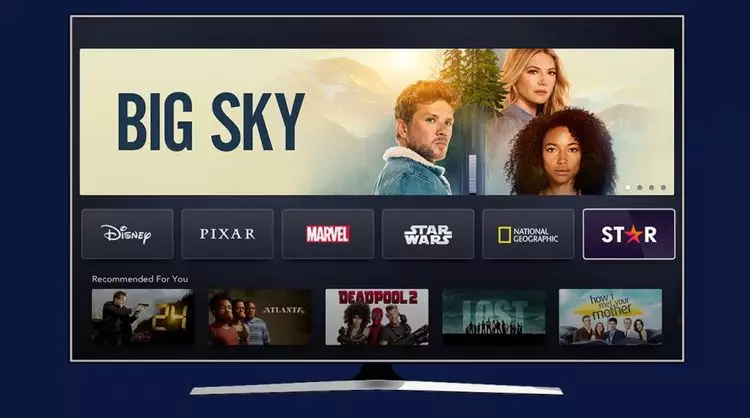 Disney+ Star : qu'est-ce que c'est et où est-il disponible ? 12628_2