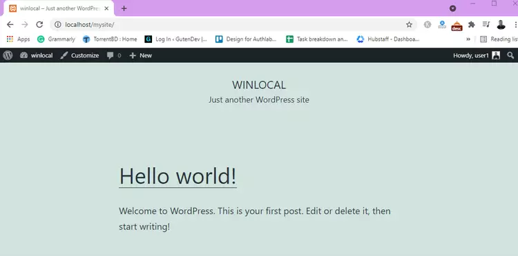 Cara Memasang WordPress Secara Tempatan pada Windows dalam 5 Langkah 14288_9