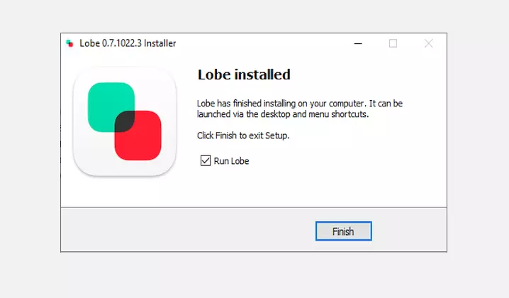 Microsoft Lobe көмегімен машиналық оқыту моделін қалай жасауға болады 1507_4