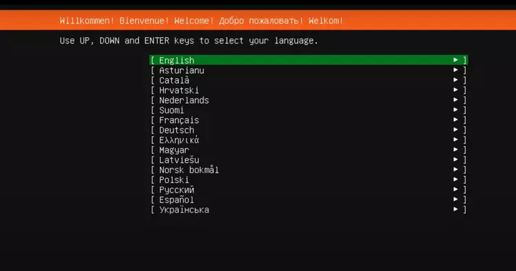 Пачатак працы з серверам Ubuntu: Пакрокавае кіраўніцтва 16323_4