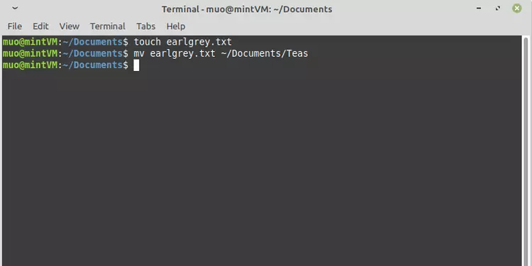 如何使用 Mv 命令移動 Linux 文件 16855_2