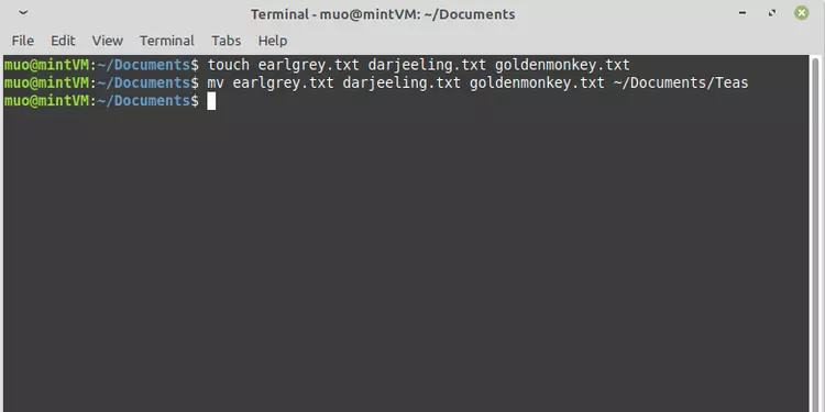 如何使用 Mv 命令移動 Linux 文件 16855_3