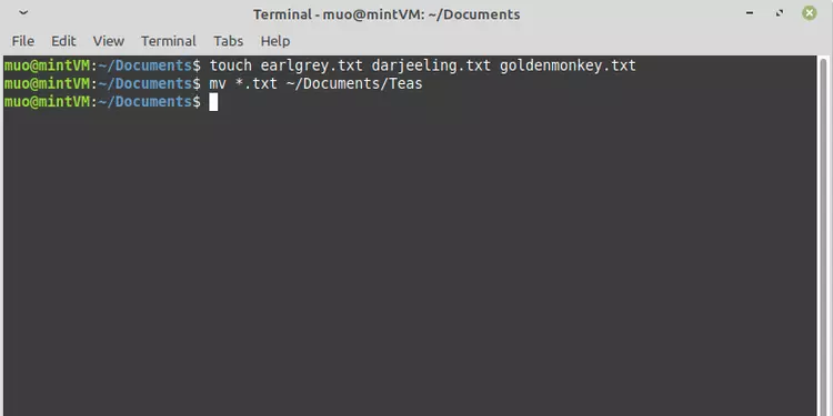 如何使用 Mv 命令移動 Linux 文件 16855_4