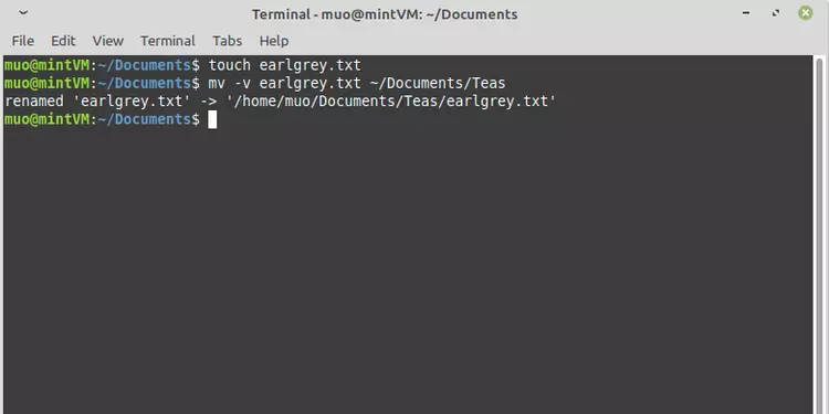 如何使用 Mv 命令移動 Linux 文件 16855_5