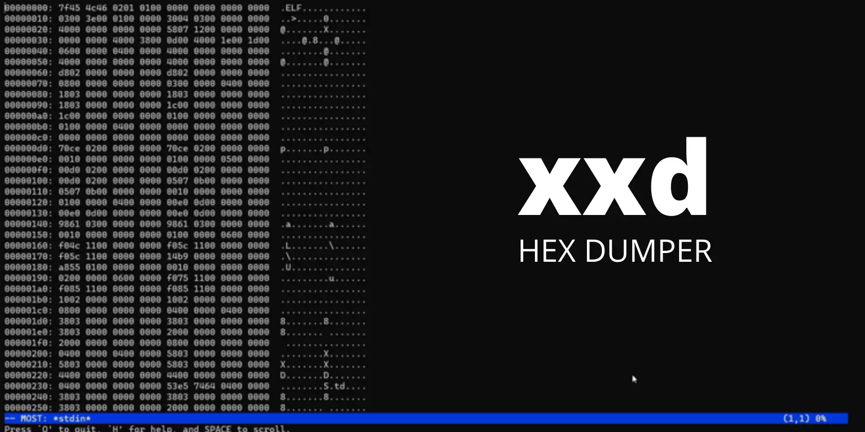 如何在 Linux 中使用 xxd Hex Dumper 实用程序