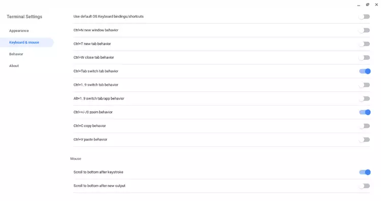 Paano I-customize ang Crostini Linux Terminal sa isang Chromebook 17002_3