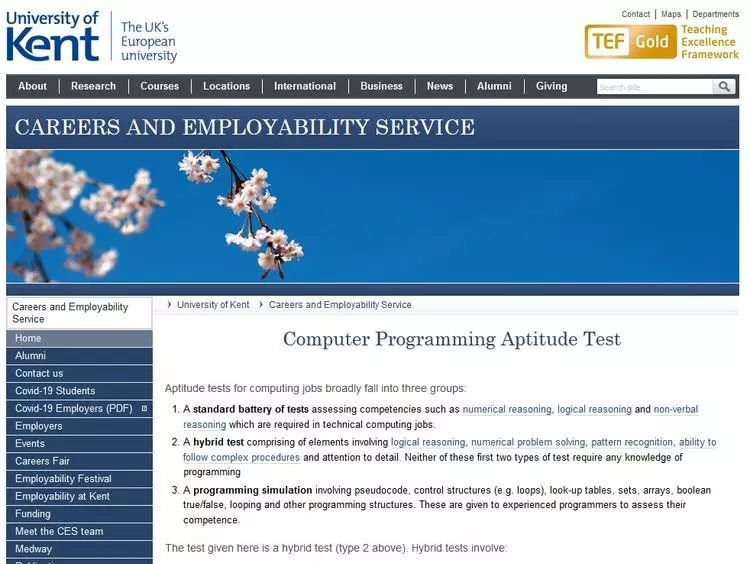 Devriez-vous être programmeur ? 3 programmes de tests d'aptitude pour vous aider à décider 20232_3