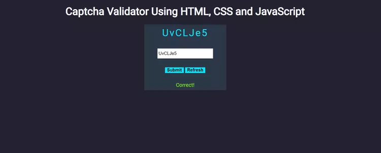 使用 HTML、CSS 和 JavaScript 创建 CAPTCHA 验证表单 20451_3