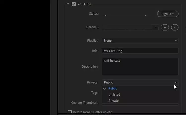 Jak nahrát svá videa na sociální média pomocí Adobe Media Encoder 20560_18