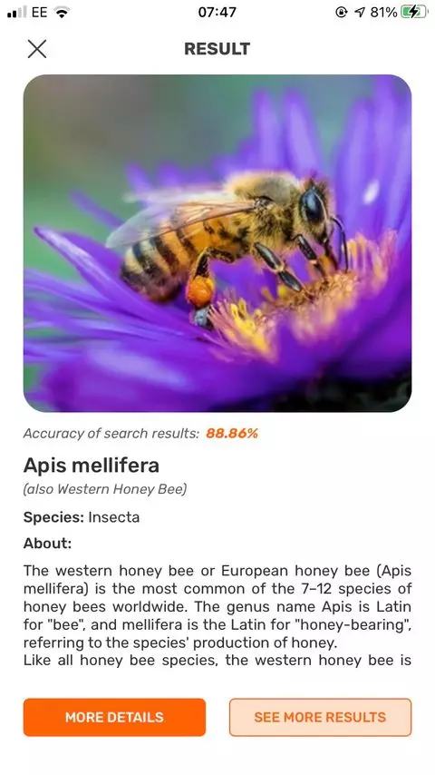 iPhone'i 5 parimat rakendust putukate ja putukate tuvastamiseks 2075_8
