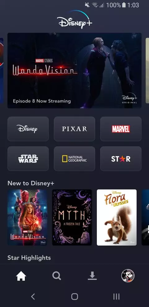 Netflix vs. Disney+: Hain ang Mas Maayo? 20866_4
