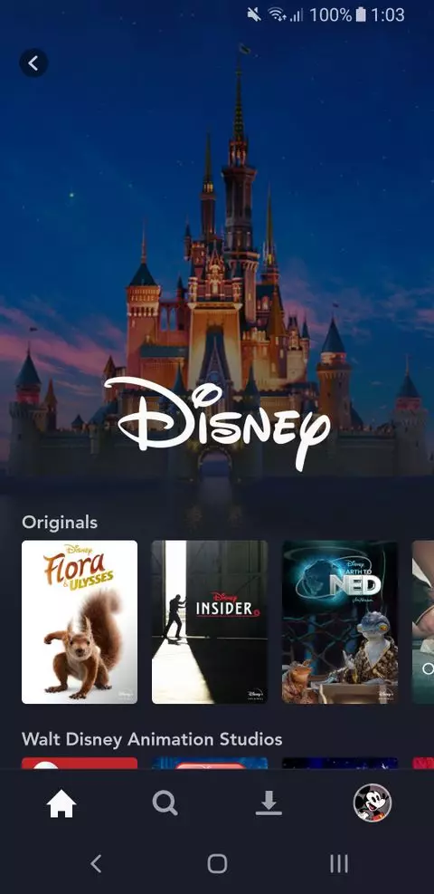 Netflix vs. Disney+: Hain ang Mas Maayo? 20866_5