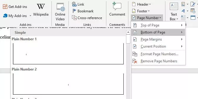 كيفية ترقيم مستند Microsoft Word الخاص بك 21260_2