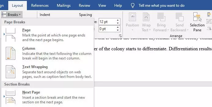 Cum să numerotați documentul Microsoft Word 21260_3