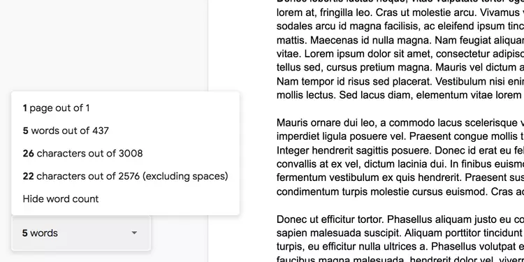 Google Docs တွင် Word Count ကို စစ်ဆေးနည်း 22057_5