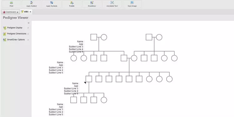 10 Pembuat Genogram Terbaik untuk Menjejaki Sejarah Keluarga Anda 22098_4