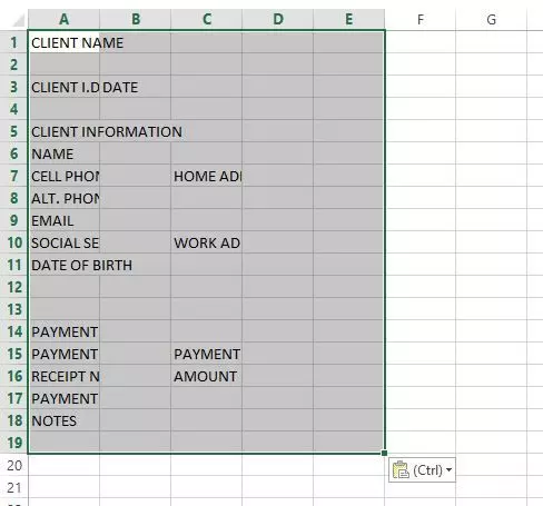 Как да импортирате данни от Microsoft Word Forms в електронна таблица на Excel 22158_6