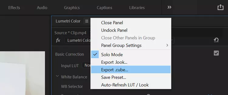 Wéi exportéiert ech e LUT Vun Adobe Premiere 22195_2