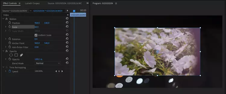 Adobe Premiere Pro дээр эффектүүдийг хэрхэн ашиглах талаар 22213_5