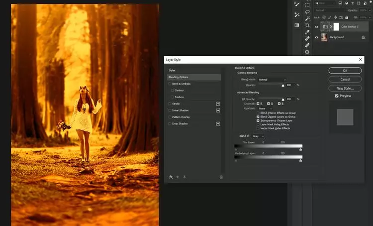 Como usar Adobe Capture no teu teléfono para crear LUT gratuítos en Photoshop 22259_14