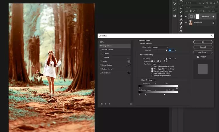 Ako používať Adobe Capture v telefóne na vytváranie bezplatných LUT vo Photoshope 22259_15