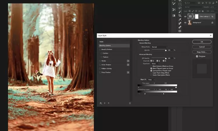 Ako používať Adobe Capture v telefóne na vytváranie bezplatných LUT vo Photoshope 22259_16