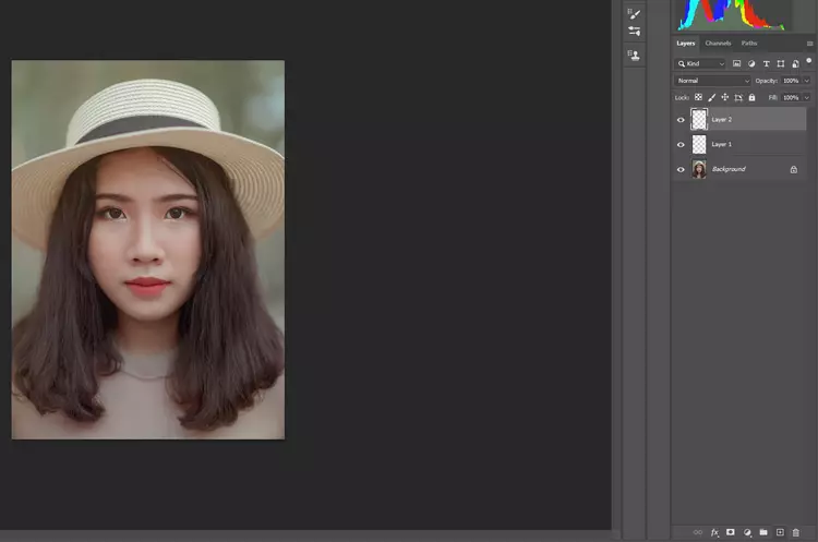 Bagaimana Menghindari dan Membakar Menggunakan Linear Light Blend Mode di Photoshop 22313_4