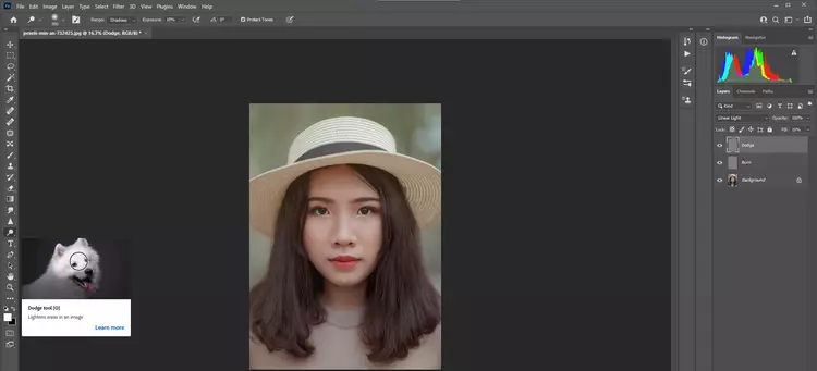 Bagaimana Menghindari dan Membakar Menggunakan Linear Light Blend Mode di Photoshop 22313_9