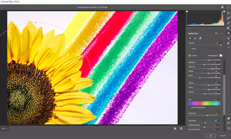 Com utilitzar Adobe Camera Raw com a objecte intel·ligent a Photoshop 22336_18