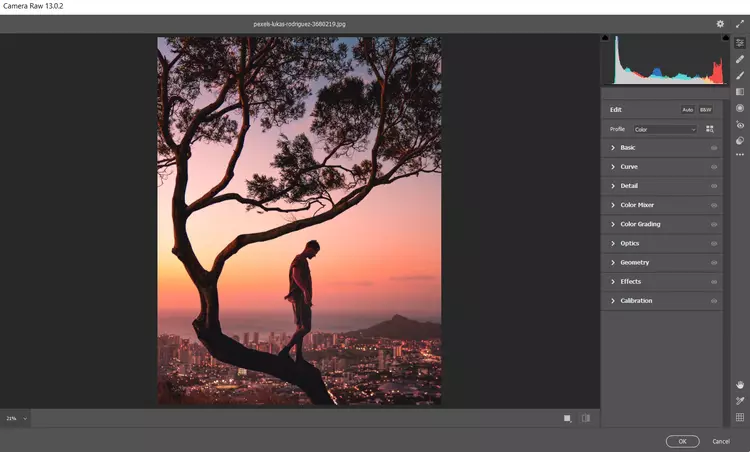 Com utilitzar Adobe Camera Raw com a objecte intel·ligent a Photoshop 22336_2