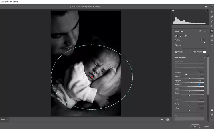 Com utilitzar Adobe Camera Raw com a objecte intel·ligent a Photoshop 22336_24