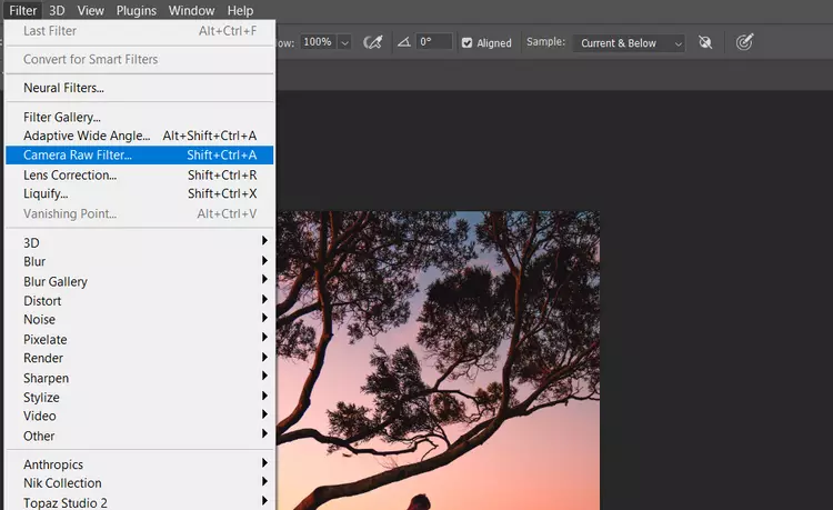 Com utilitzar Adobe Camera Raw com a objecte intel·ligent a Photoshop 22336_5