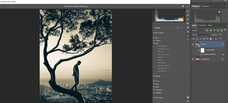 Com utilitzar Adobe Camera Raw com a objecte intel·ligent a Photoshop 22336_8