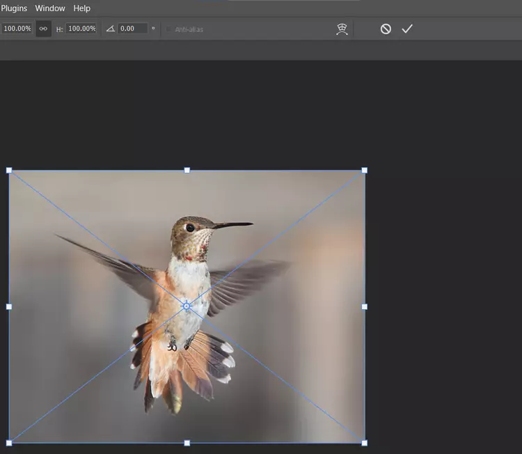 Bii o ṣe le ṣe iwọn Layer kan ni Photoshop ni Awọn Igbesẹ Rọrun mẹrin 22337_4