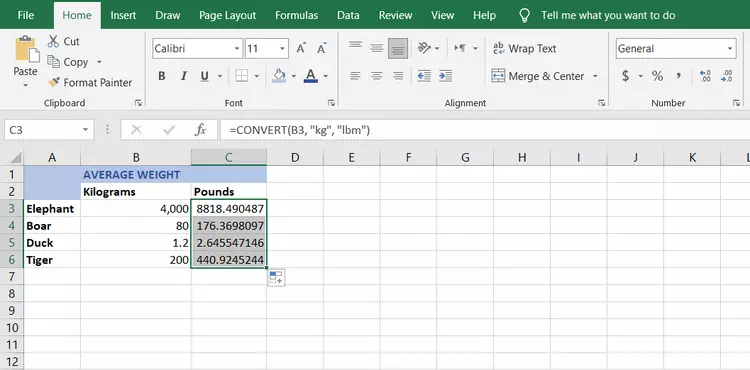 كيفية استخدام وظيفة التحويل في Excel 22572_3