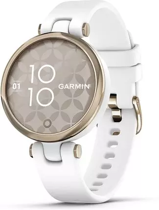 7 Smartwatch Garmin paling apik 23616_18