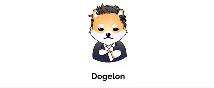 Dogecoin olmayan 8 itdən ilham alan kripto 26982_8