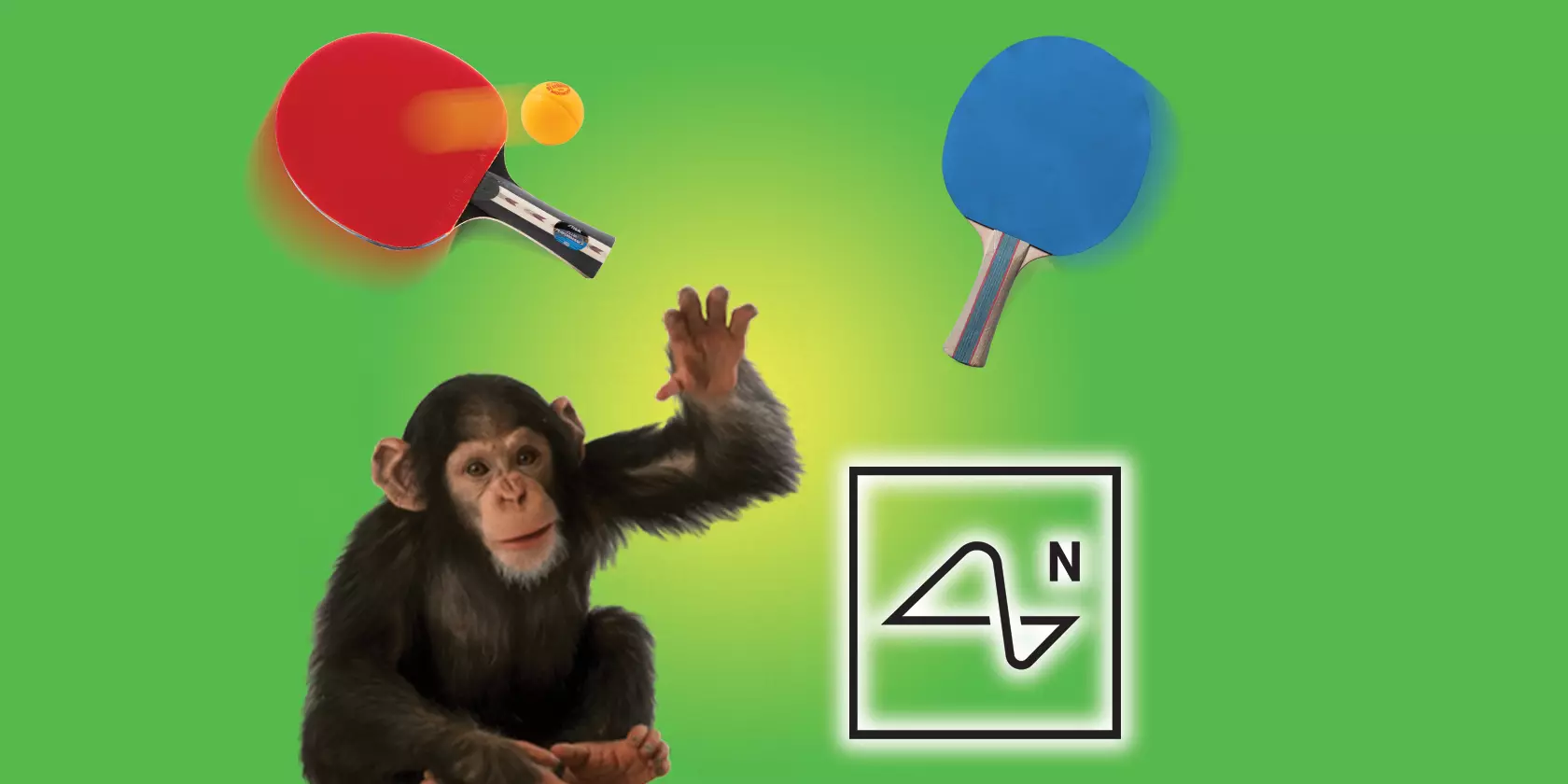 Tonton Monyet Ini Bermain Pong Dengan Pikirannya Menggunakan Neuralink Elon Musk