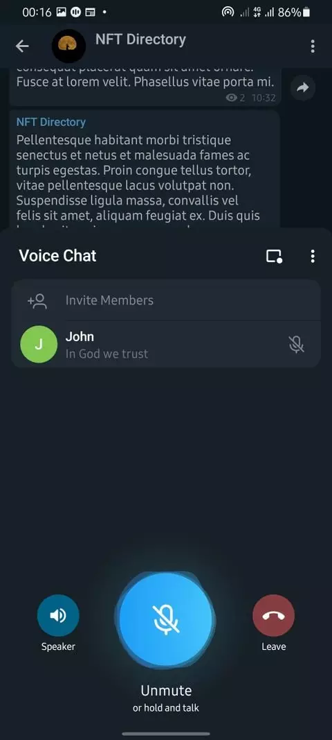 Cum să găzduiești un chat vocal pe canalul tău Telegram 28298_5