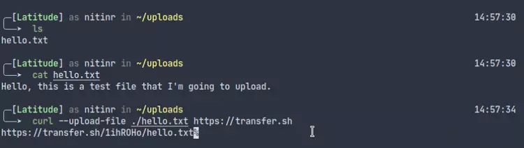 Kumaha Unggah sareng Bagikeun File Tina Terminal Nganggo Transfer.sh 28807_2