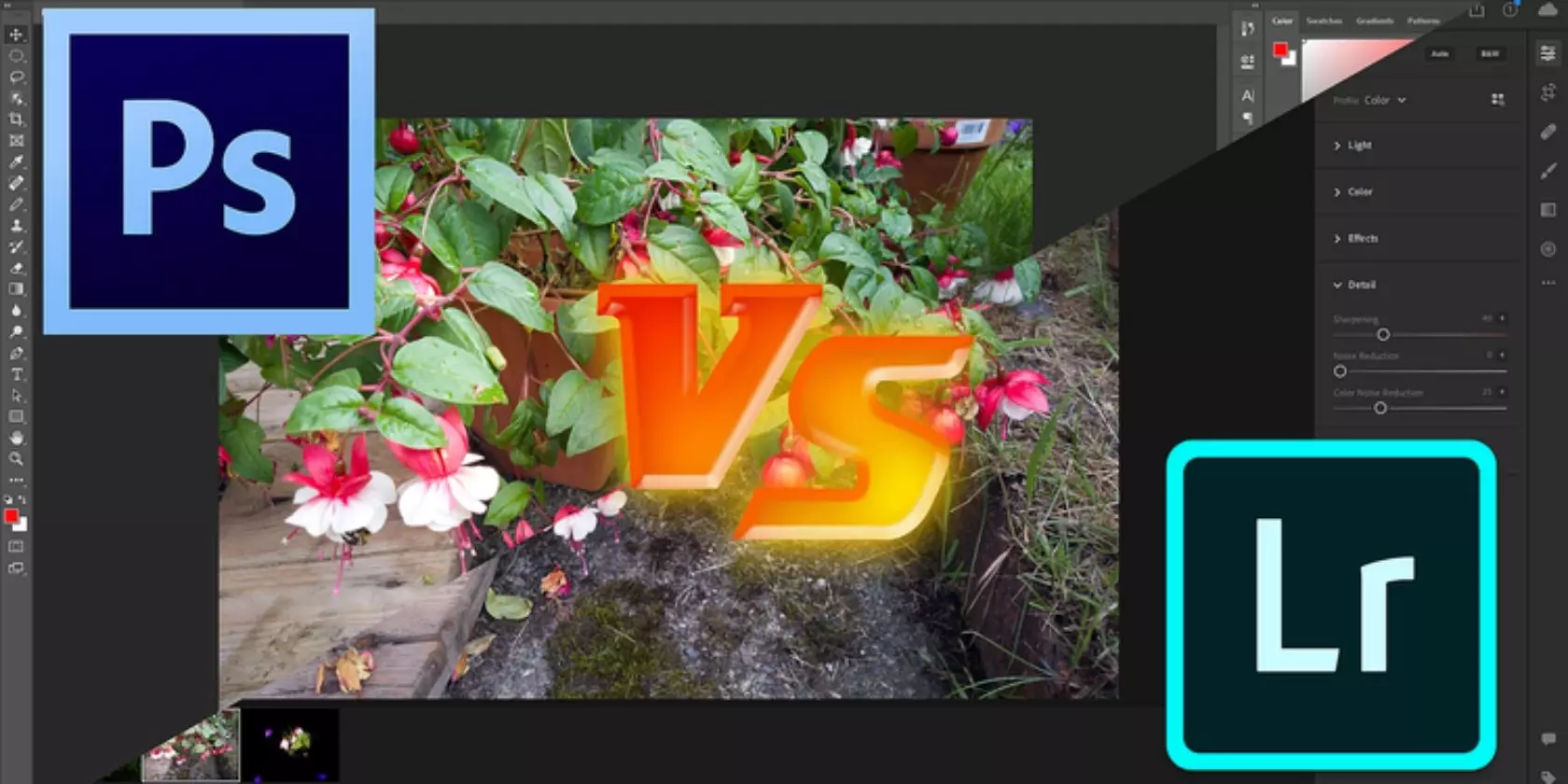 Lightroom Vs. Photoshop: Apa Bedane?