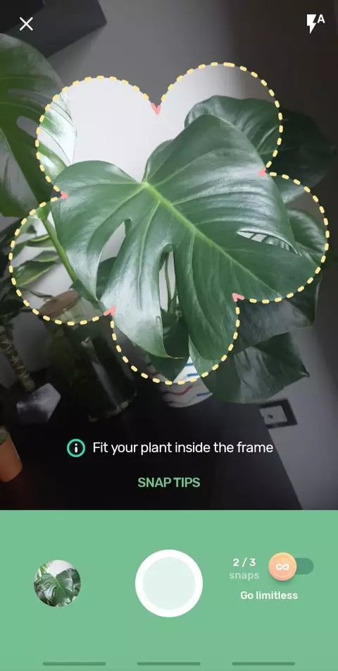 5 nejlepších aplikací pro Android pro péči o pokojové rostliny 30018_2