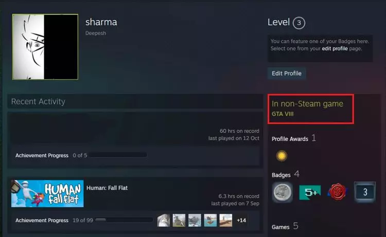 Cara Menyesuaikan Status Aktivitas Dalam Game di Steam 3261_3