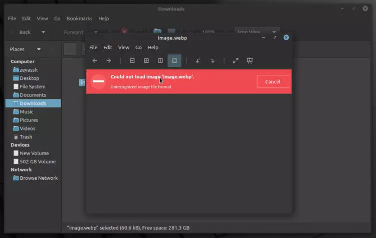 Ungabuka kanjani Izithombe ze-WebP ku-Ubuntu ne-Linux Mint 3309_2