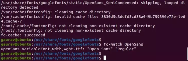 Come scaricare, installare e utilizzare Google Fonts su Ubuntu 3343_4