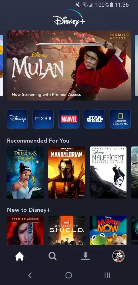 Paano Manood ng Mulan sa Disney+ Ngayon 34227_3