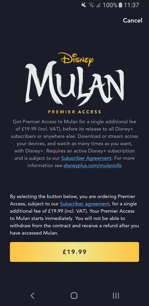 Otu esi ele Mulan na Disney+ ugbu a 34227_5